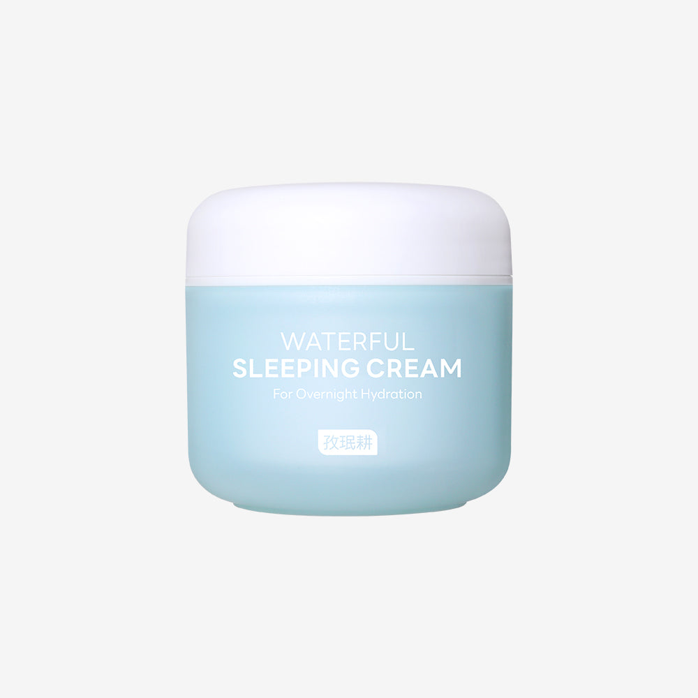 Crema Caracol Waterful Sleeping Cream 60ml